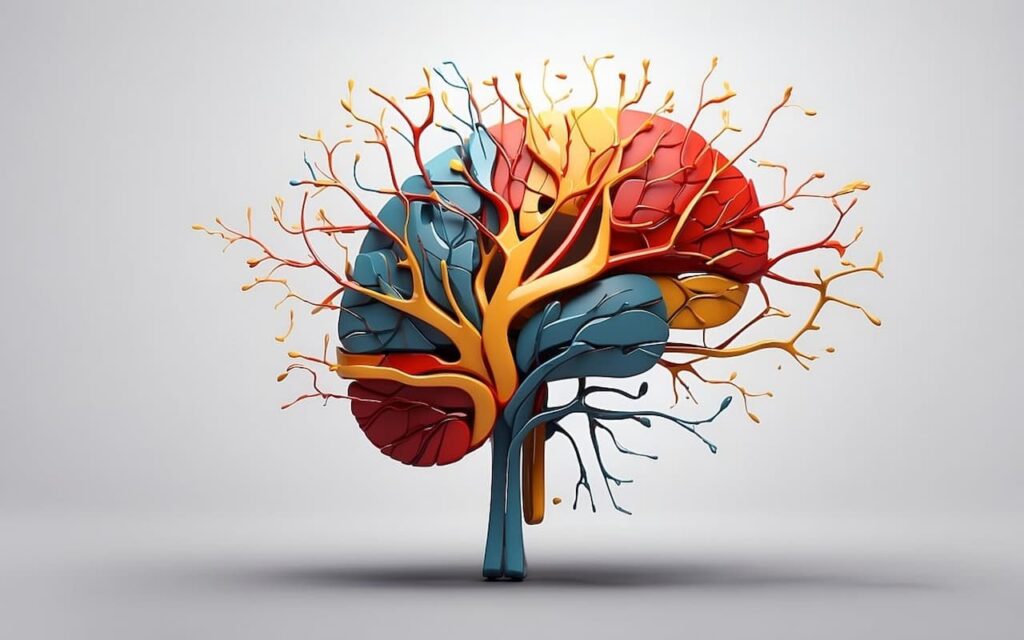 Memorization Vs Understanding in Learning - Wisdom Database