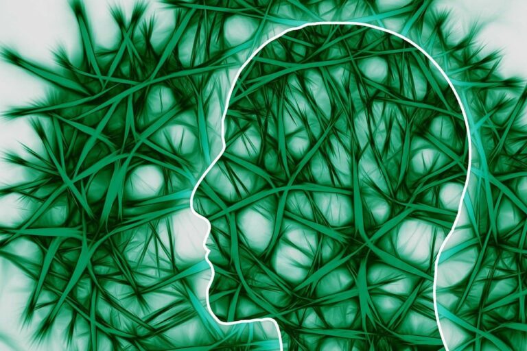Memorization Vs Understanding in Learning - Wisdom Database